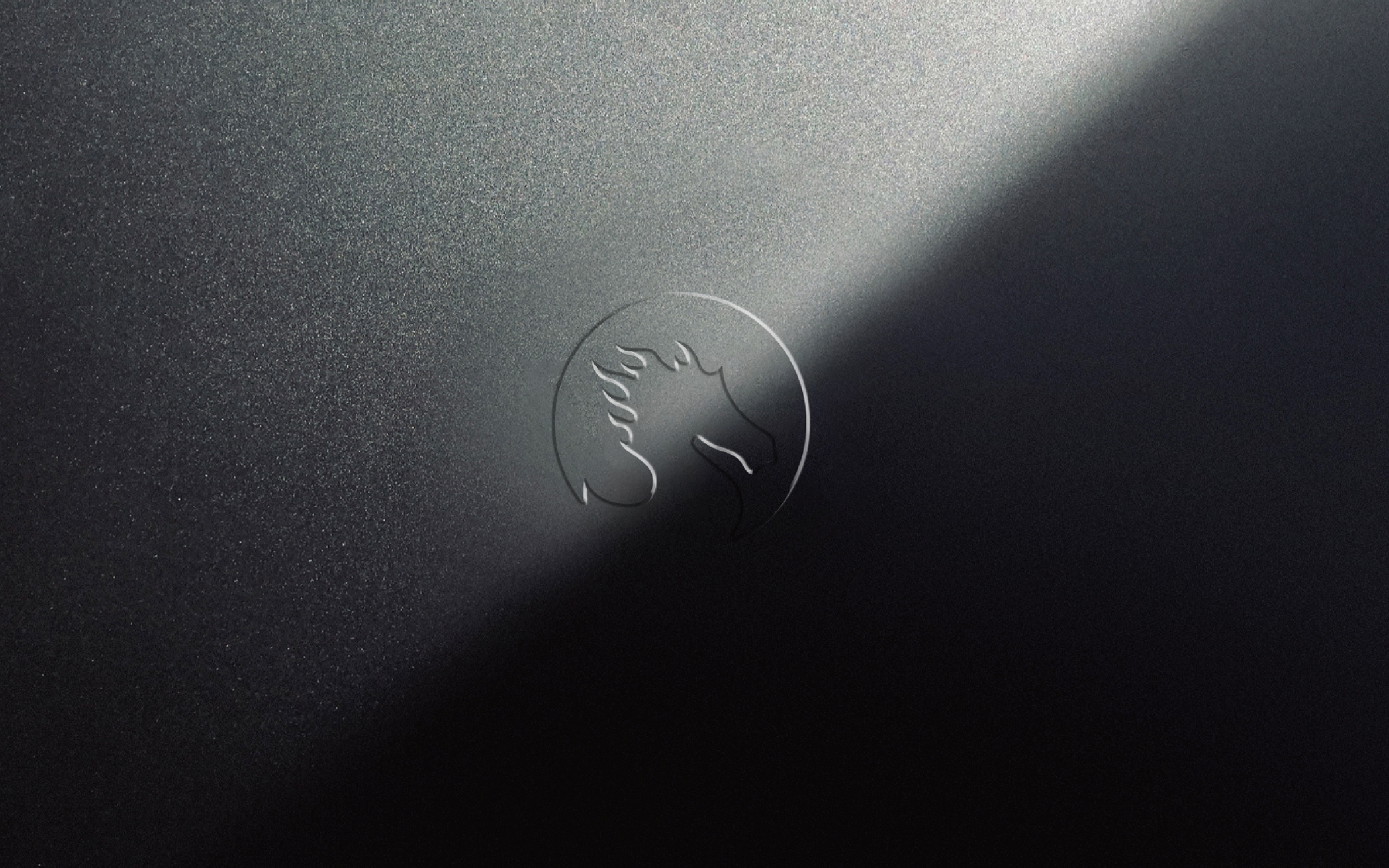 lionpro省狮品牌咨询设计